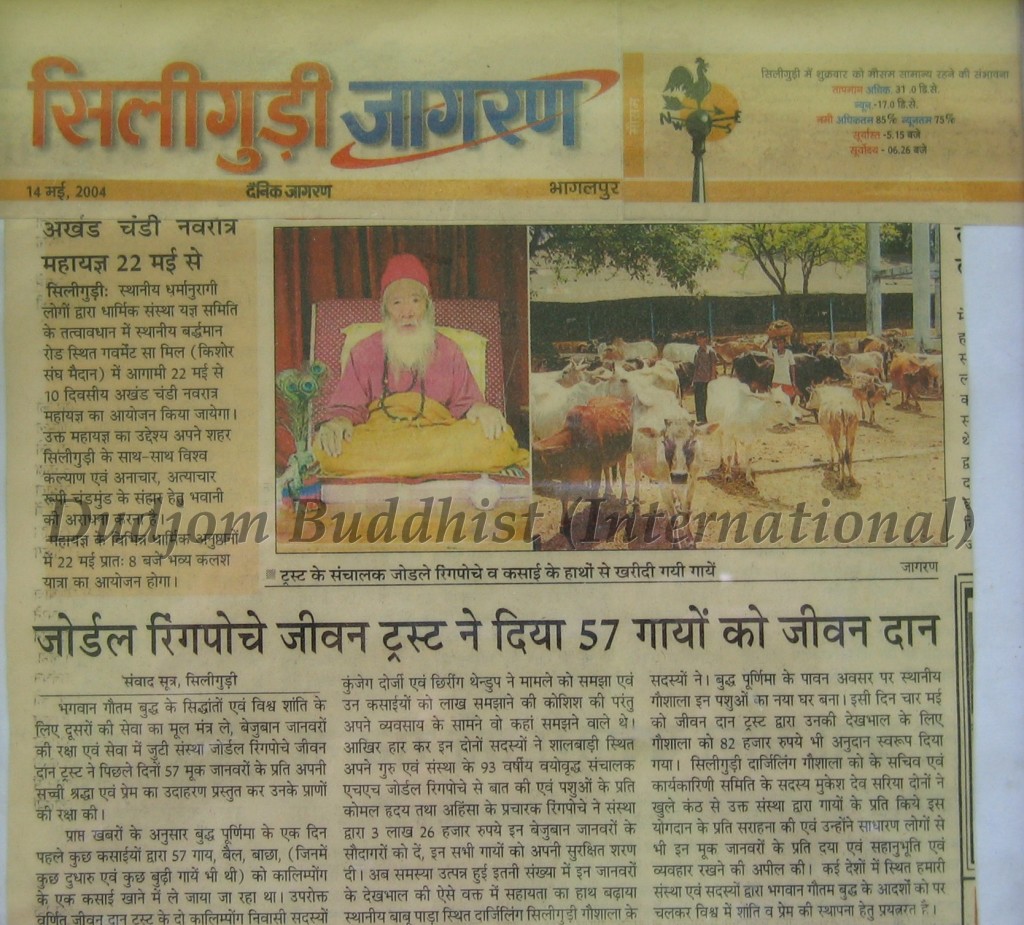 H.H. Kyabje Chadral Rinpoche – Dudjom Buddhist International